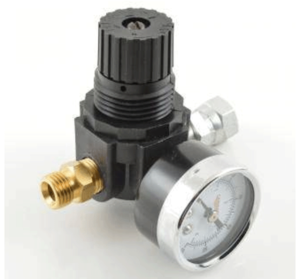 Mini Gun Regulator with Gauge/Fittings | Wurth Louis and Company