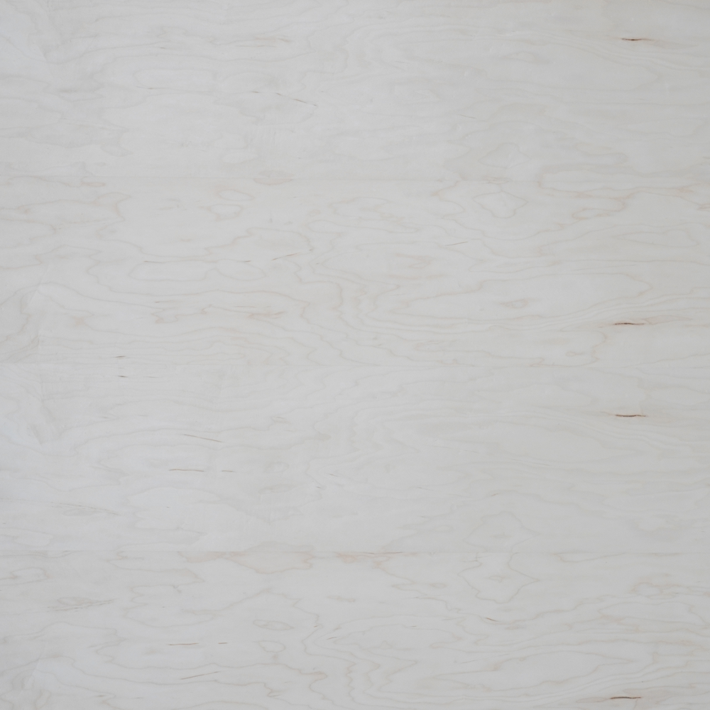 FalconPLY™ White Maple Domestic Plywood, C/2 Grade w/ 3/4" Veneer Core ...